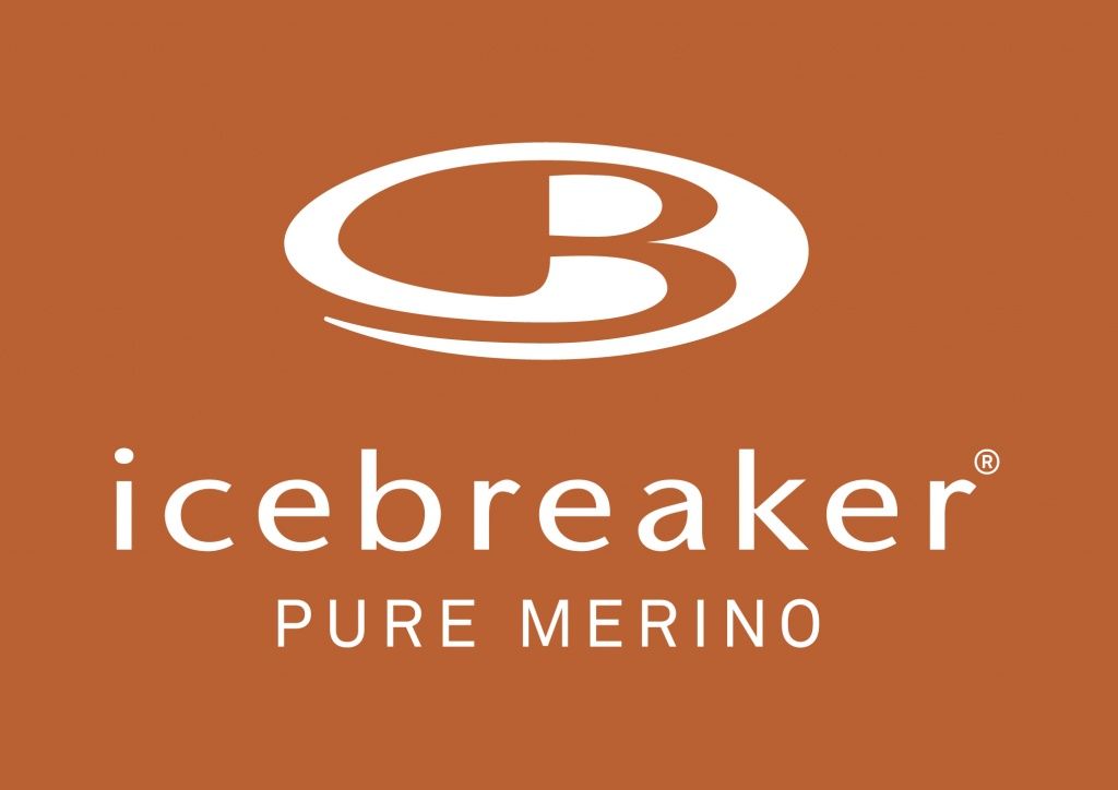 Icebreaker Logo设计,破冰船标志设计